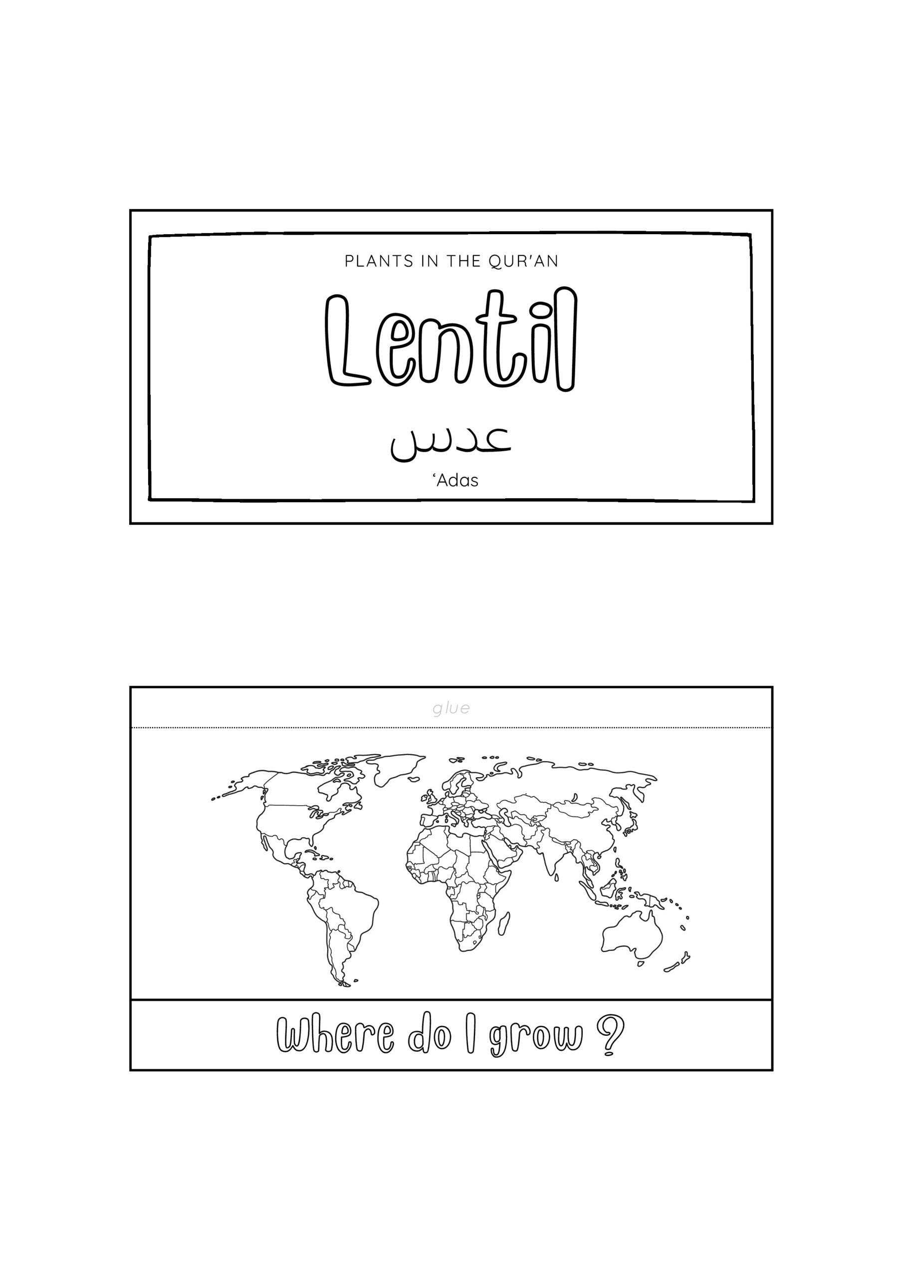 Plants in the Qur’an: Lentil Flip Book – Welcome to Allamah