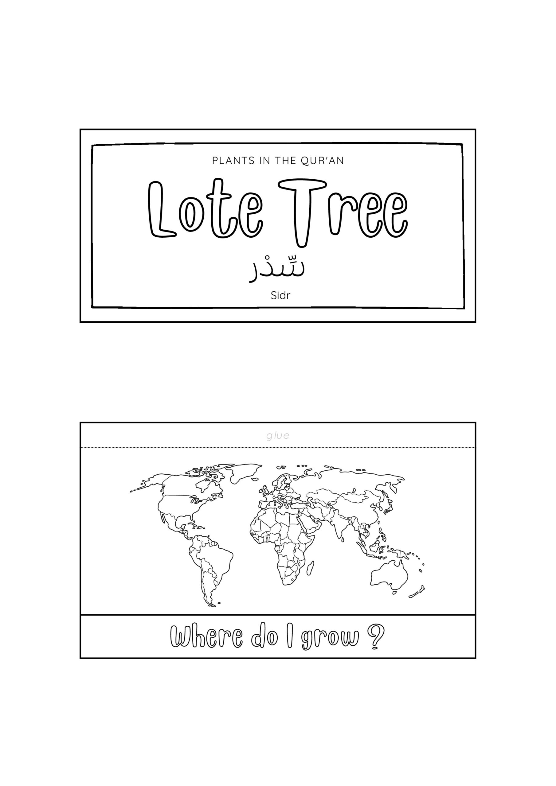 Plants in the Qur’an: Lote Tree Flip Book – Welcome to Allamah
