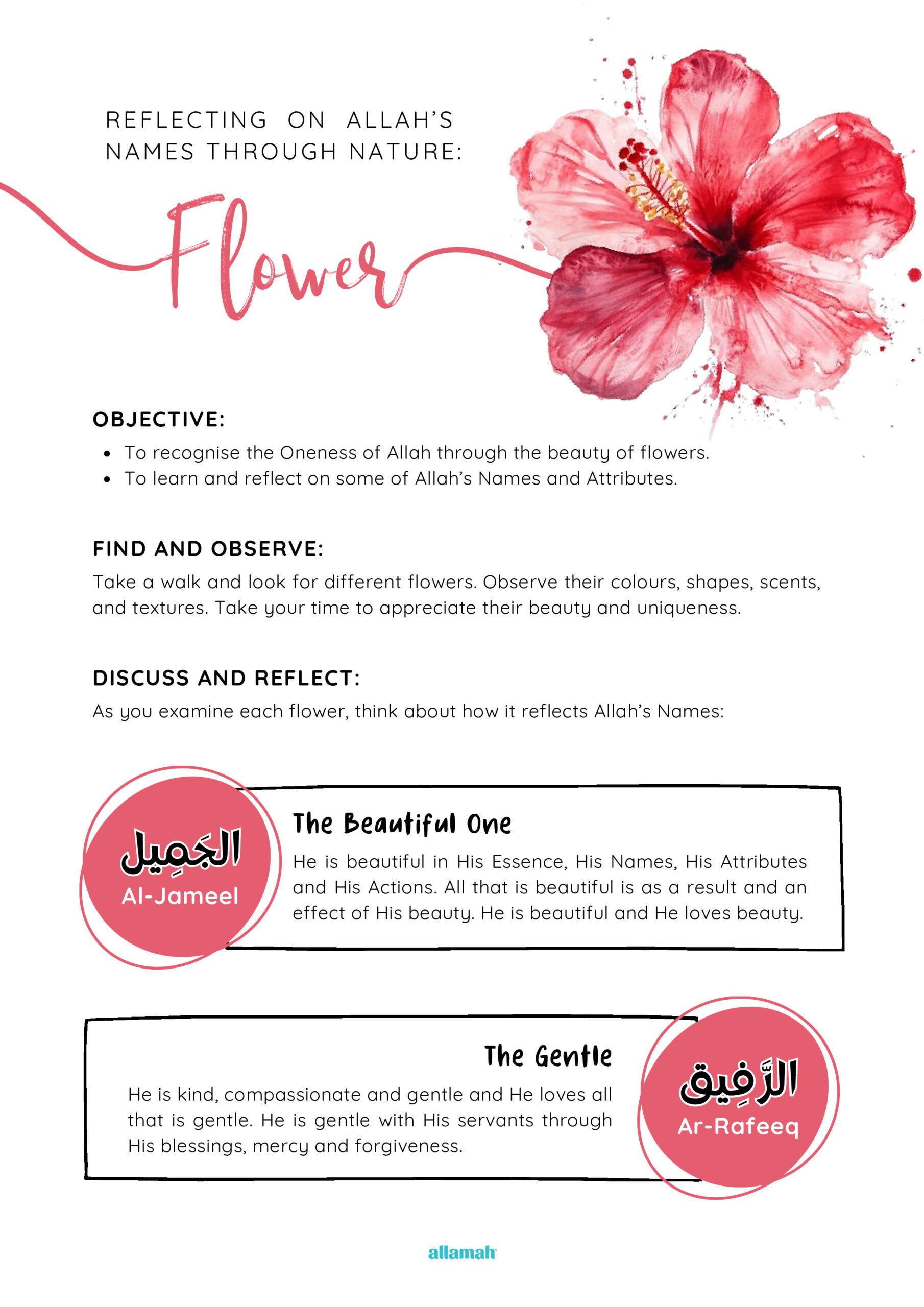 Reflecting on Allah’s Names Through Nature: Flower – Welcome to Allamah