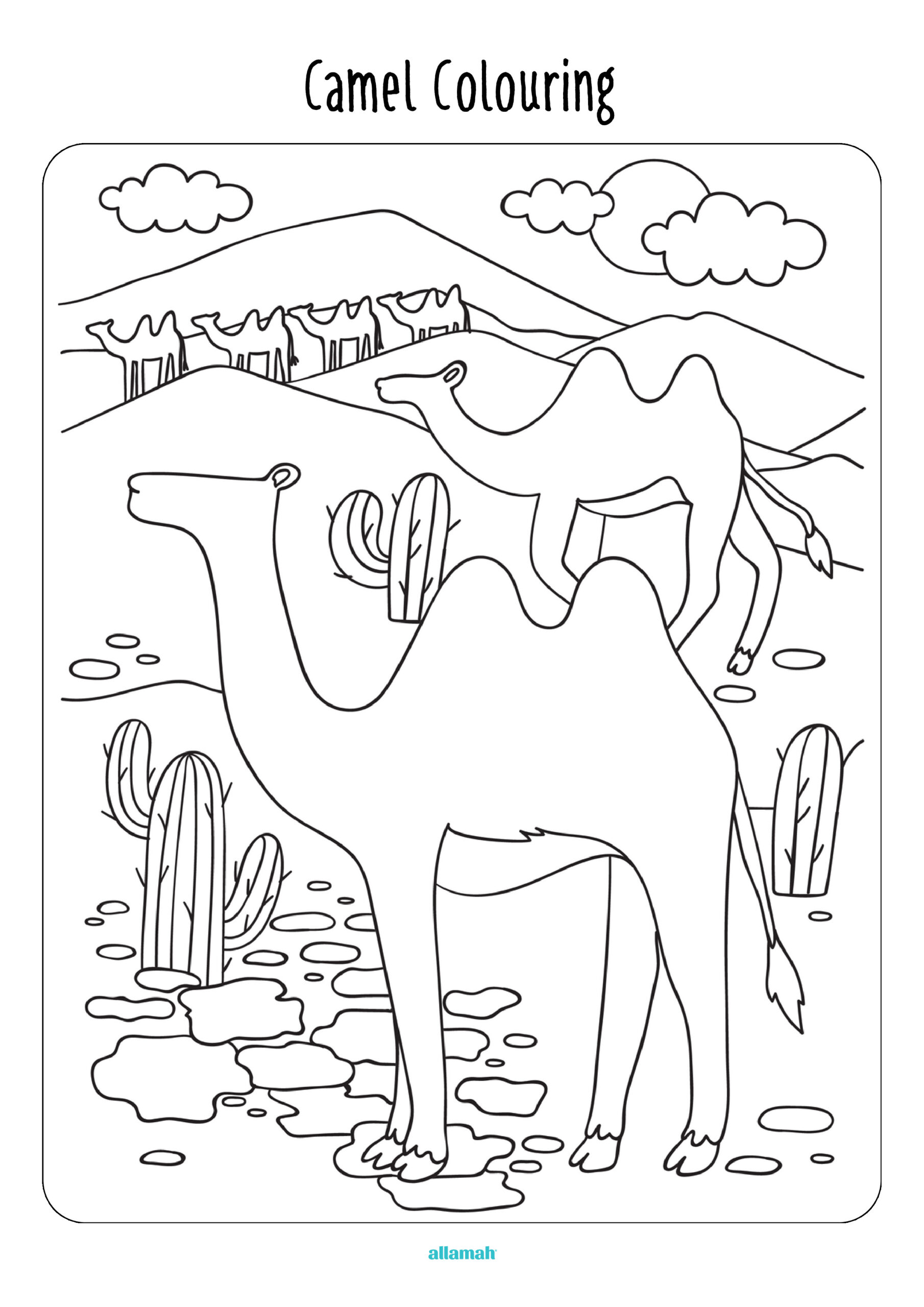 Camel Colouring – Welcome to Allamah