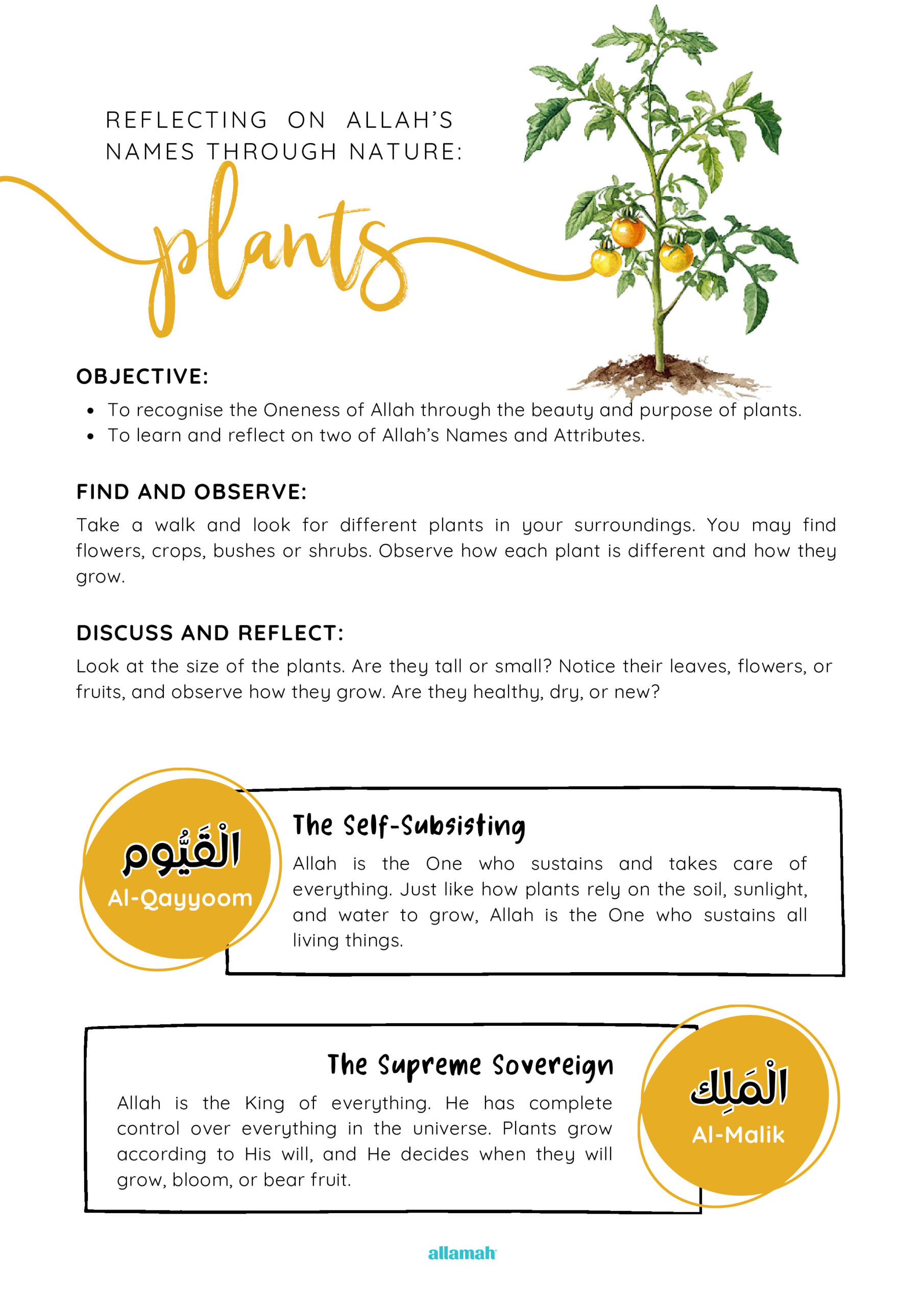 Reflecting on Allah’s Names Through Nature: Plants – Welcome to Allamah